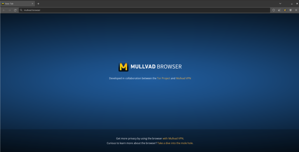 Internet Browsers and Search Engines – GrapheneGoat
